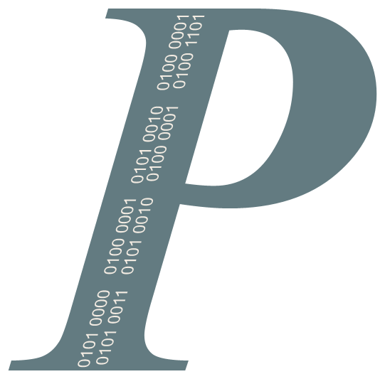 Parasram LLC – Concept, Design, Implementation, Integration